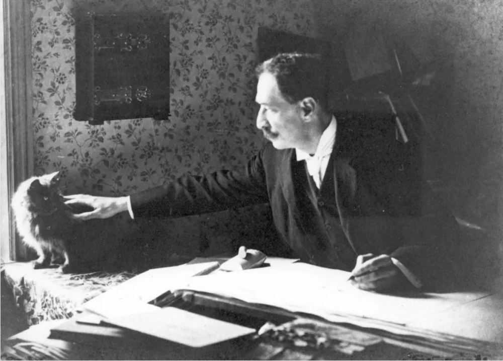 Louis Wain: The Man Who Invented the Modern Cat – Cheshire & Wain