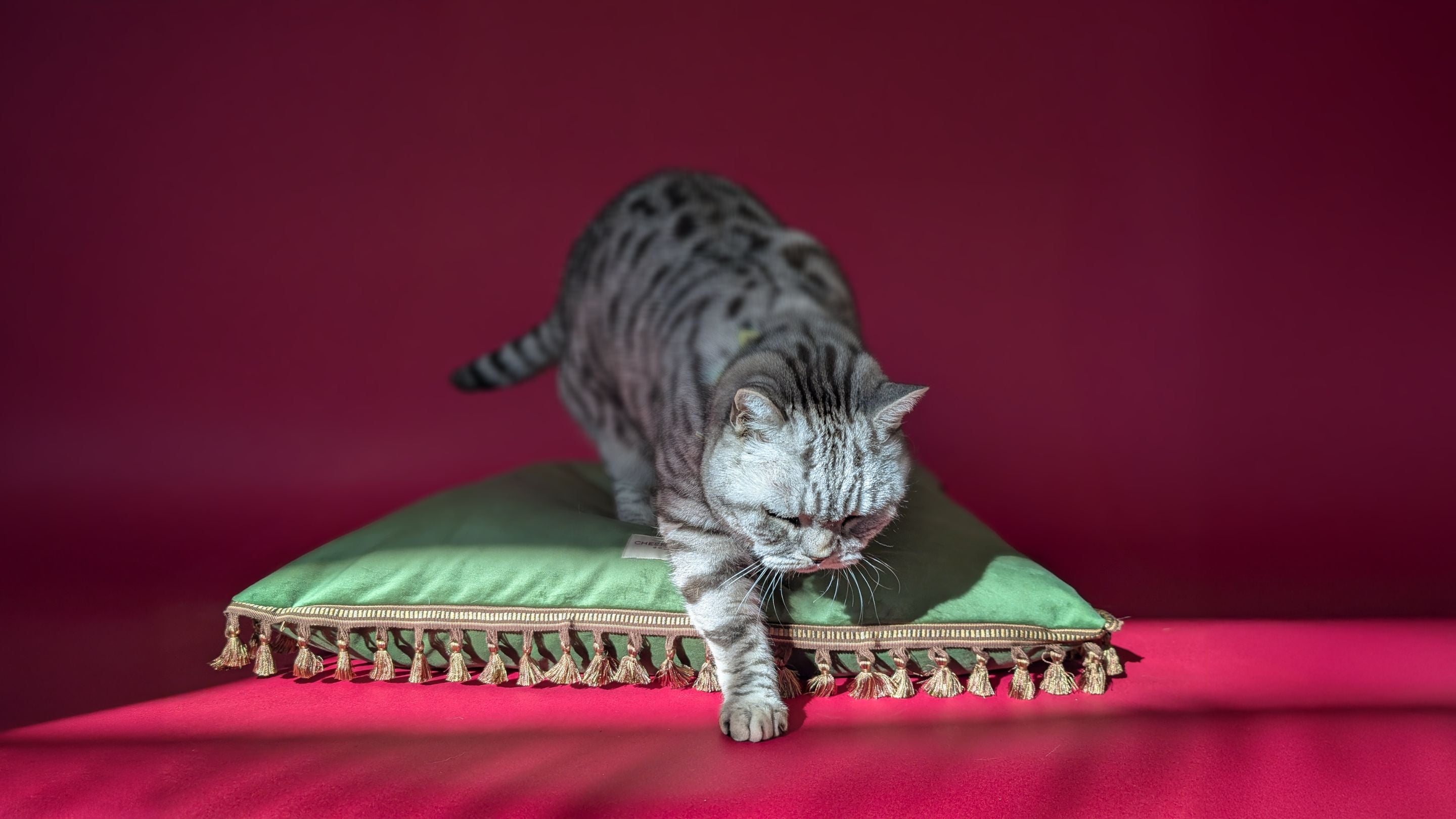 Luxury Velvet Cat Beds - Tassel Trim Cushions – Cheshire & Wain