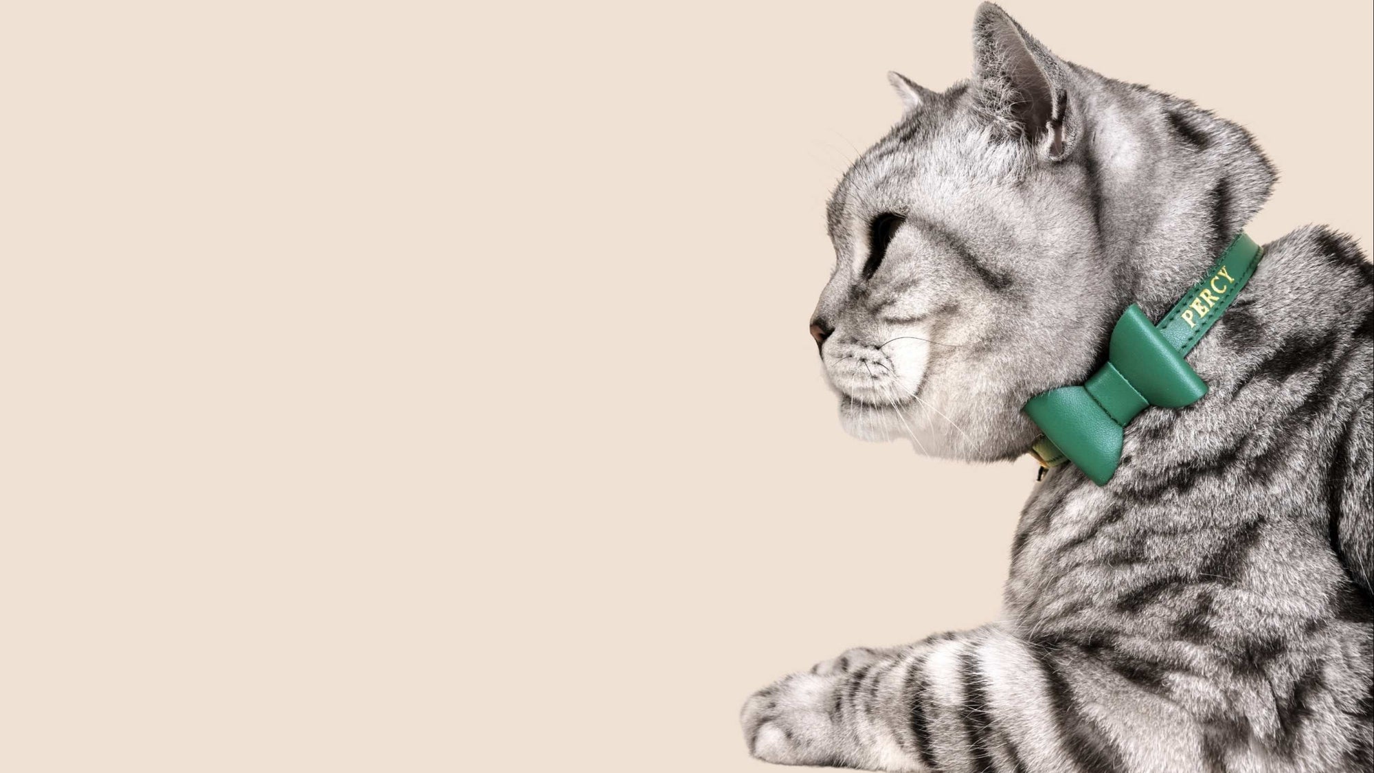 Cheshire & Wain - Grey Leather Cat Collar