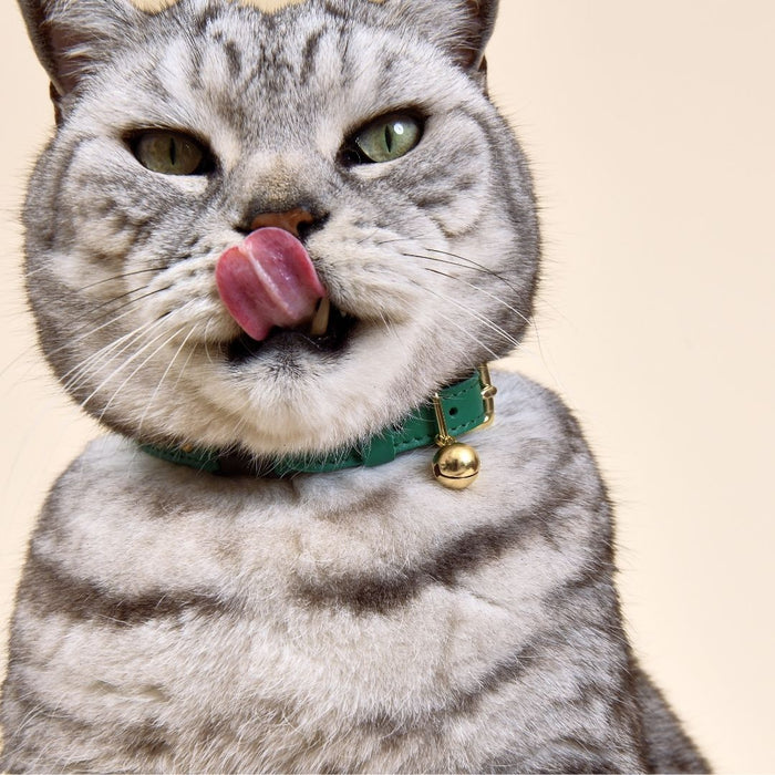 Cheshire & Wain - Mock Turtle Green Luxury Leather Cat Collar