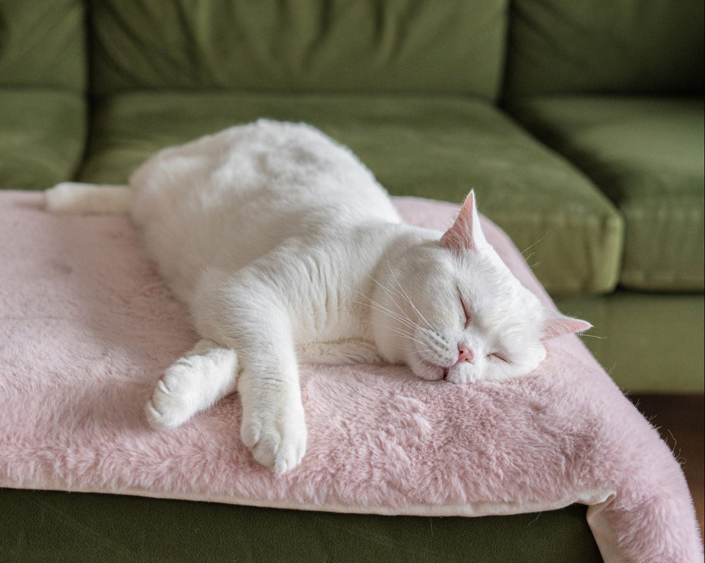 Cheshire & Wain Cat Cloud© Throw - Faux Fur in Nimbus Grey
