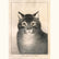 Cheshire & Wain | Reproduction Victorian Art Print - The Favorite Cat ...