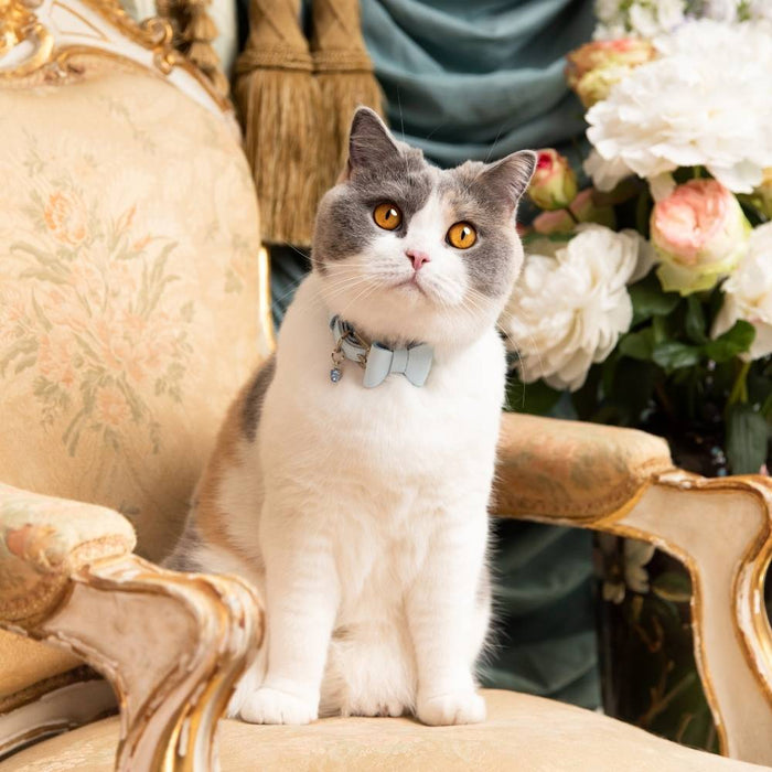 Cheshire & Wain - Rococo Powder Blue Luxury Cat Collar